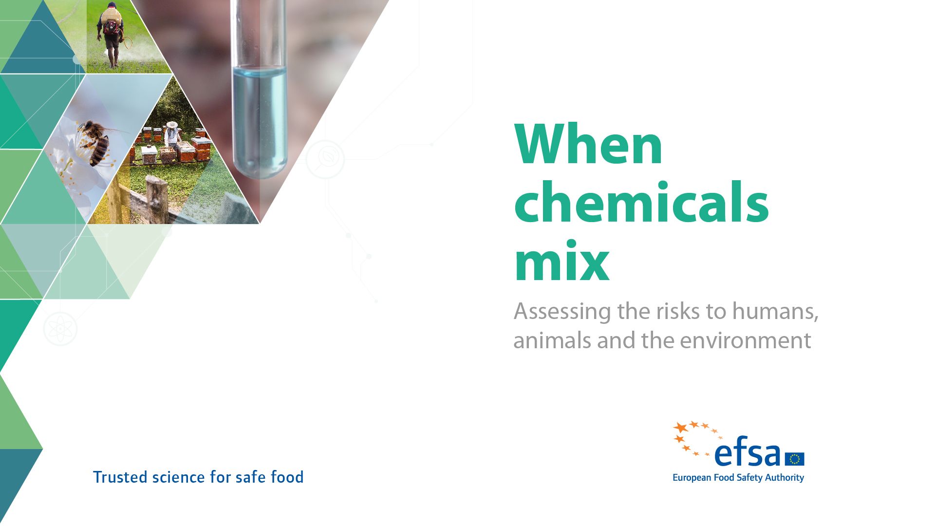 When Chemicals Mix - Interactive Story - EFSA